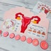 FEMALE FERTILIZATION, Human Anatomy, Educational Toy, Reproductive ...