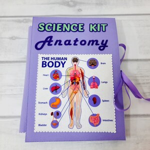 FULL SET skeleton and Organs,laser Cut Parts,large Human Anatomy ...