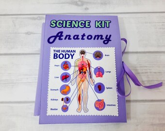 FULL SET skeleton and Organs,laser Cut Parts,large Human Anatomy ...