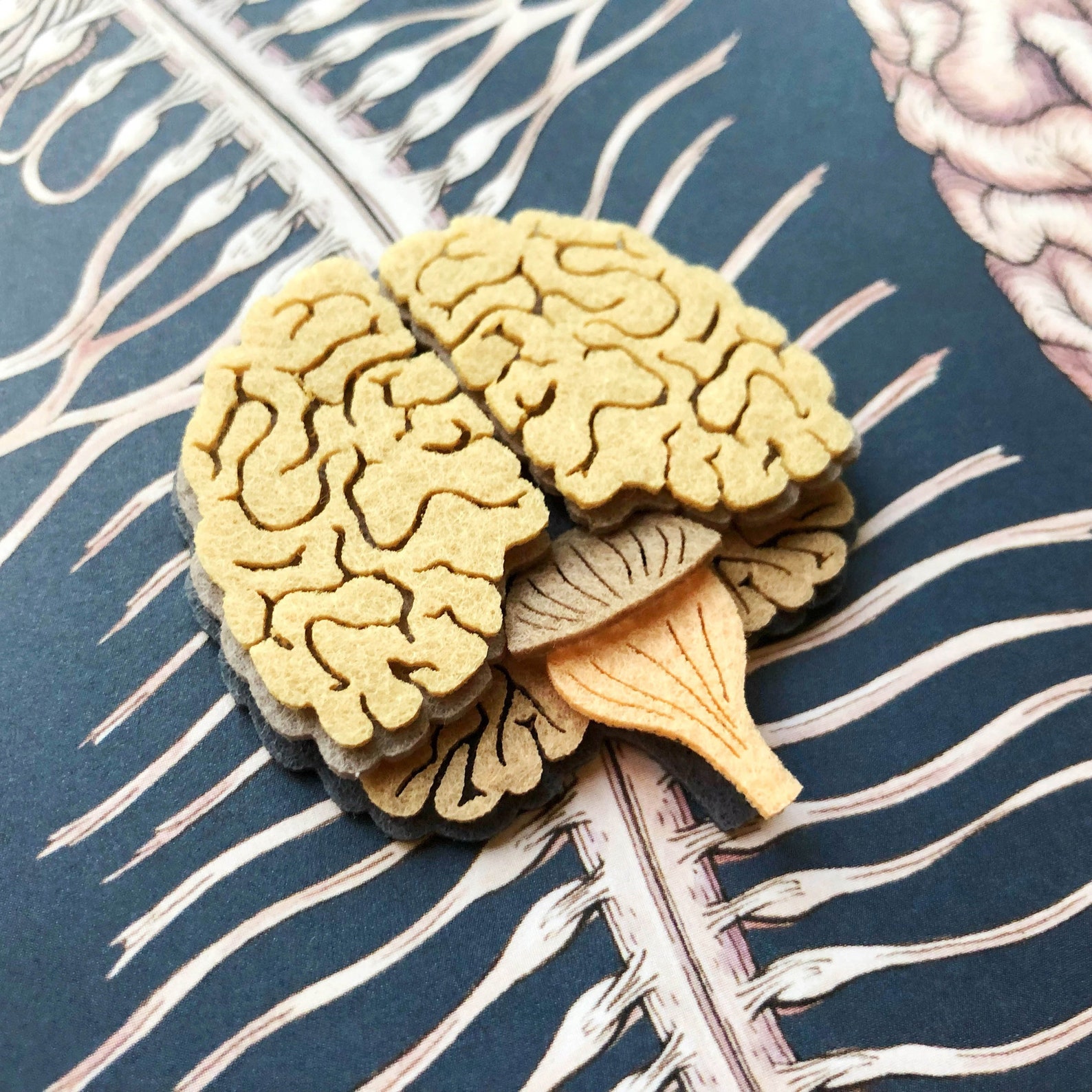 FULL SET skeleton and Organs,laser Cut Parts,large Human Anatomy ...