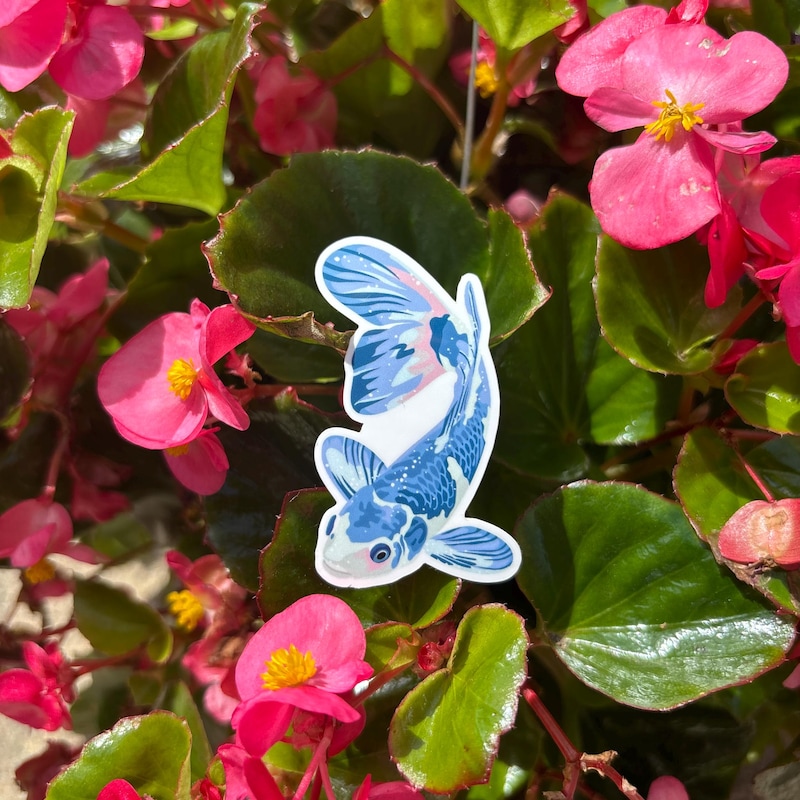 Aesthetic Fish Stickers - Etsy