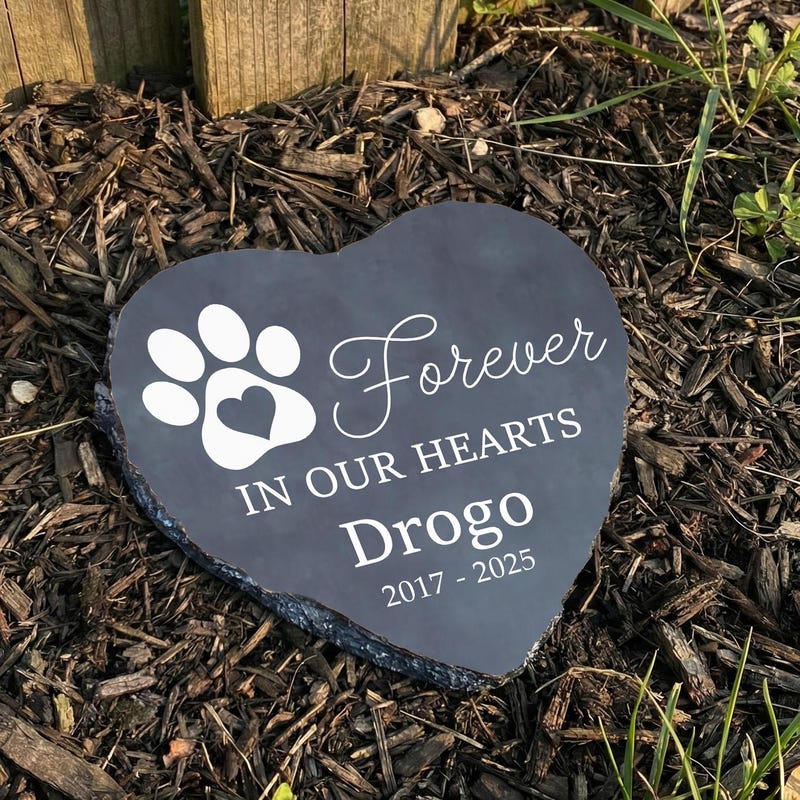 Dog Frame Died - Etsy