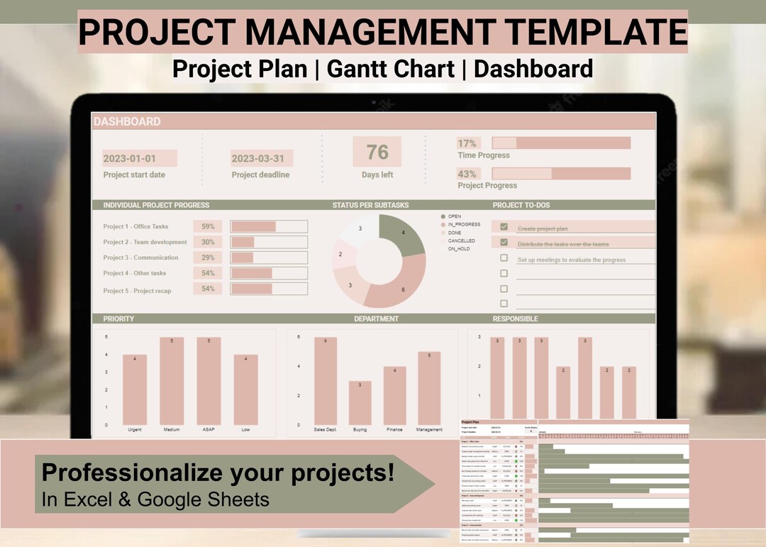 Project Management Template | Excel Template | Google Sheets | Project ...