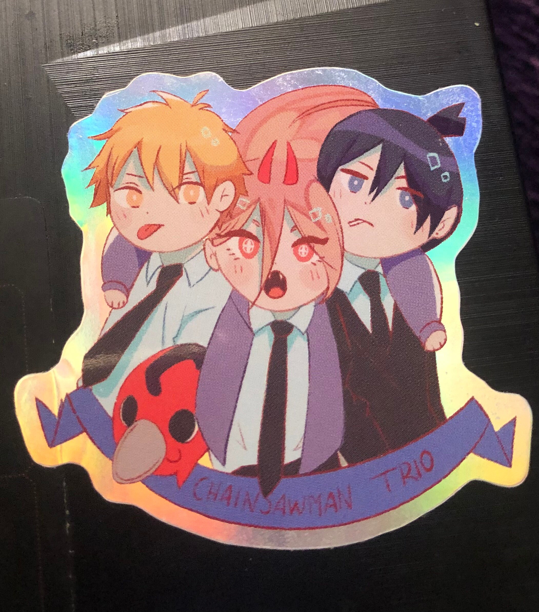 CSM Holographic Sticker 2 - Etsy