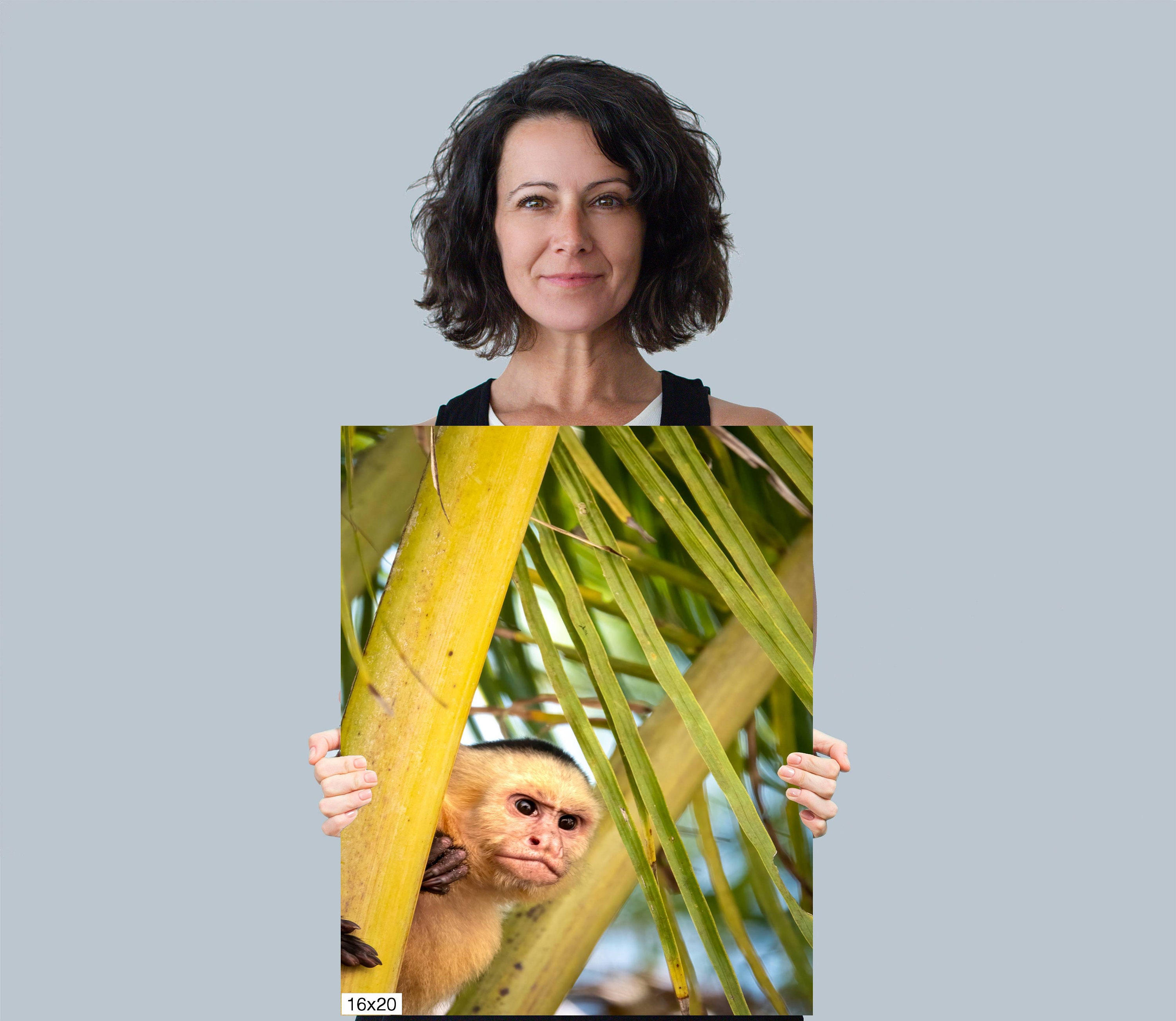 Capuchin Monkey on the Beach in Costa Rica - Etsy