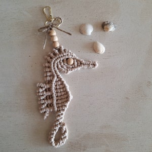 Seahorse Design, PDF Guide, Photo Storytelling Tutorial, Macrame ...