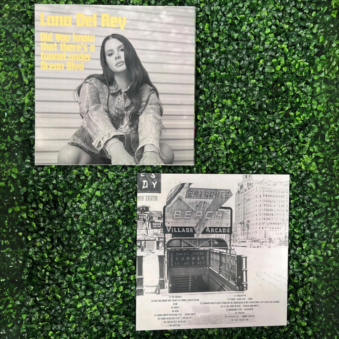 Lana Del Rey Picture Disc Vinyl Jacket Custom Vinyl Jacket Lana Del Rey ...