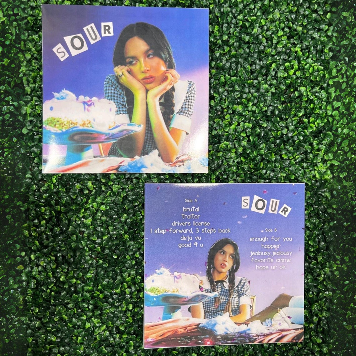 Olivia Rodrigo SOUR Picture Disc Vinyl Jacket Custom Vinyl Jacket ...