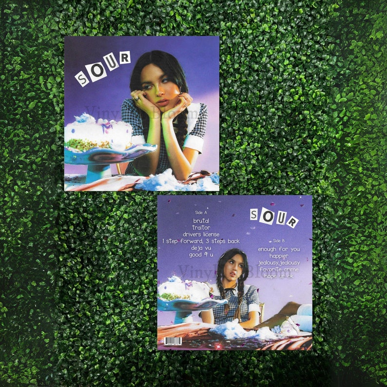 Olivia Rodrigo SOUR Picture Disc Vinyl Jacket Custom Vinyl Jacket ...