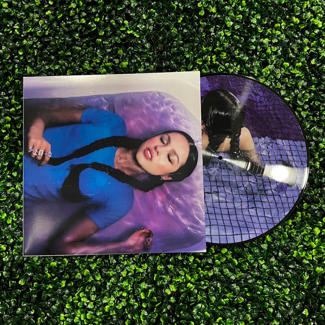 Olivia Rodrigo GUTS Picture Disc Vinyl Jacket Custom Vinyl Jacket ...