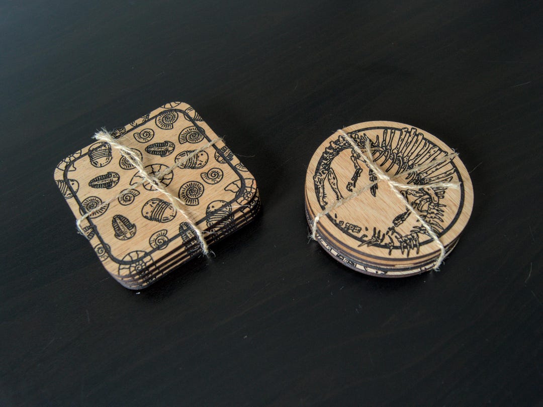 Fossil Coasters | Stegosaurus, Spinosaurus, Archaeopteryx, Ammonite ...
