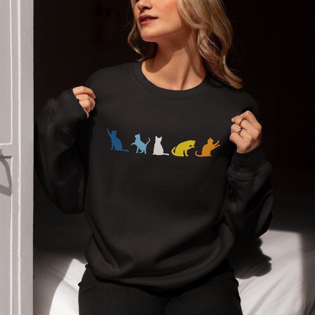 Aroace Cat Lover Pride Flag Pullover for Aroace Pride Sweatshirt - Etsy