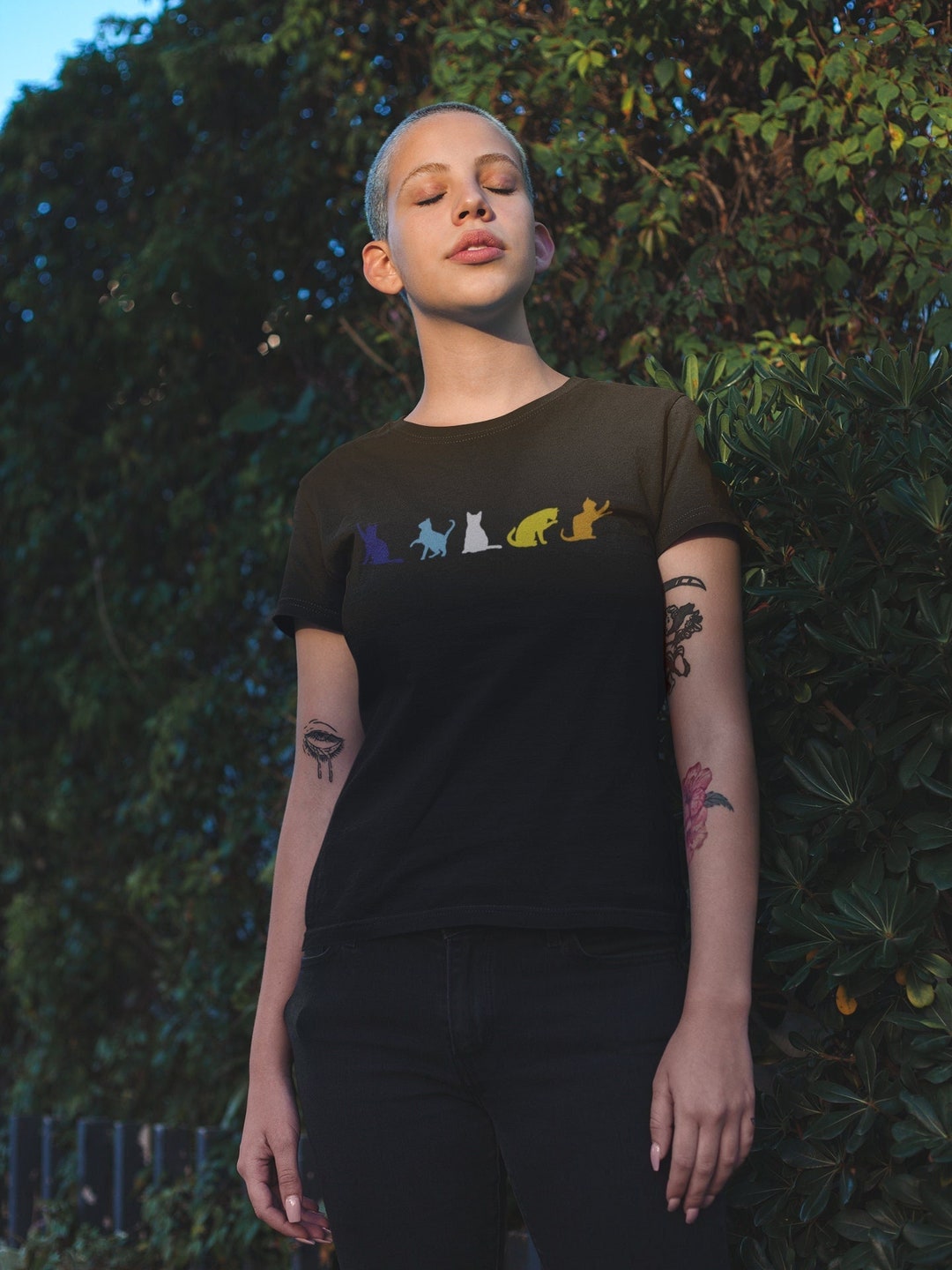 Subtle Aroace Pride Flag Shirt Aroace Gift for Cat Lovers - Etsy