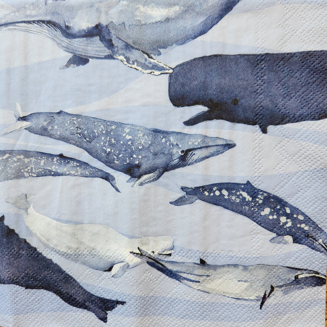 3x Blue Whales Paper Napkin for Decoupage Set of 3 - Etsy