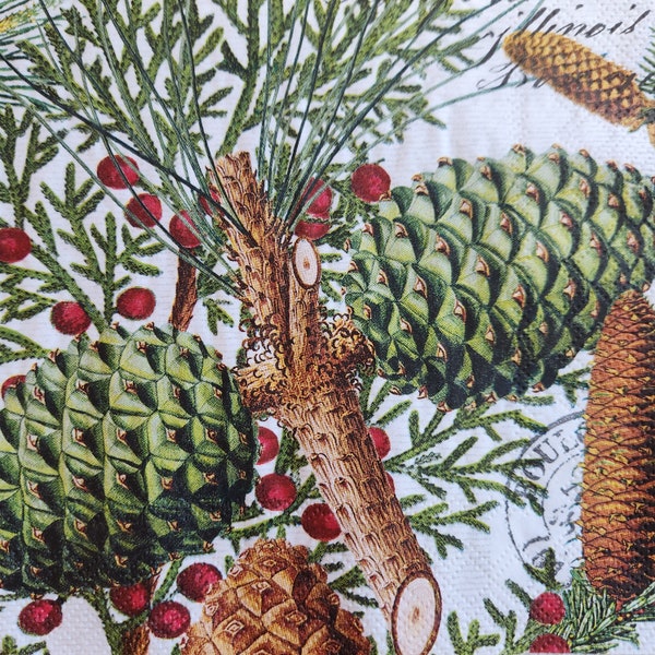 Paper Pinecone - Etsy