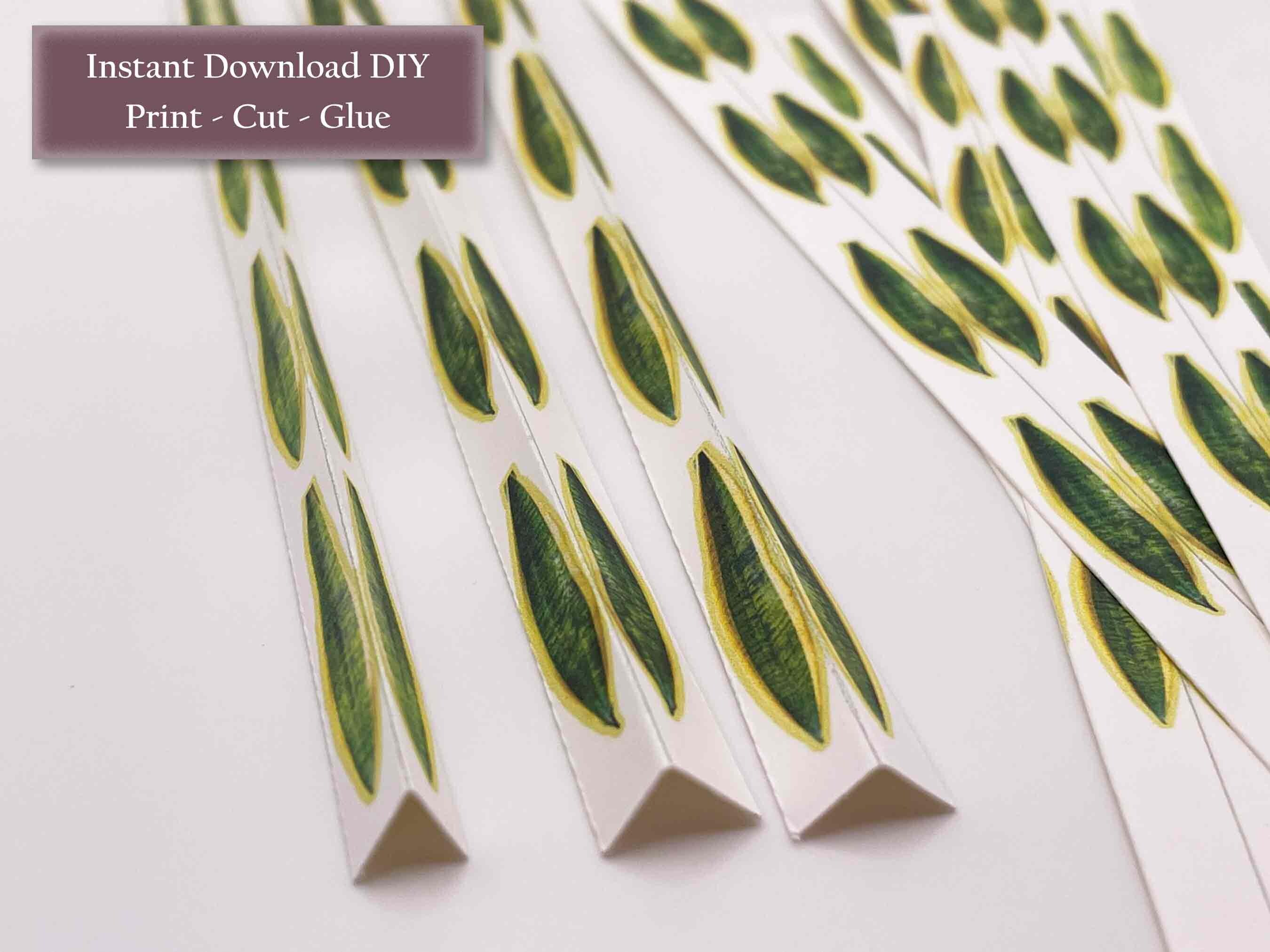 1:12 Miniature Printable Snake Plant - Etsy