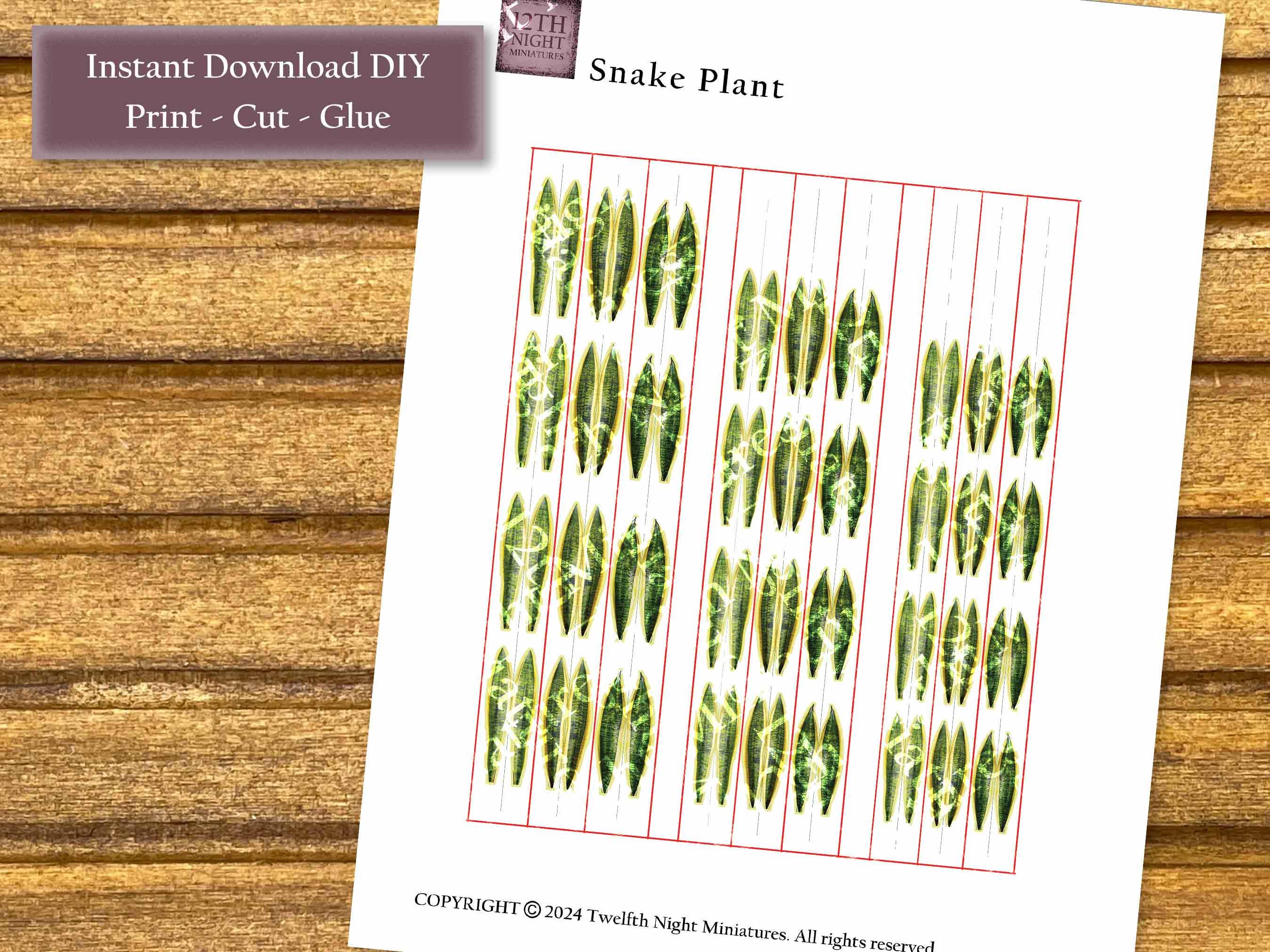 1:12 Miniature Printable Snake Plant - Etsy