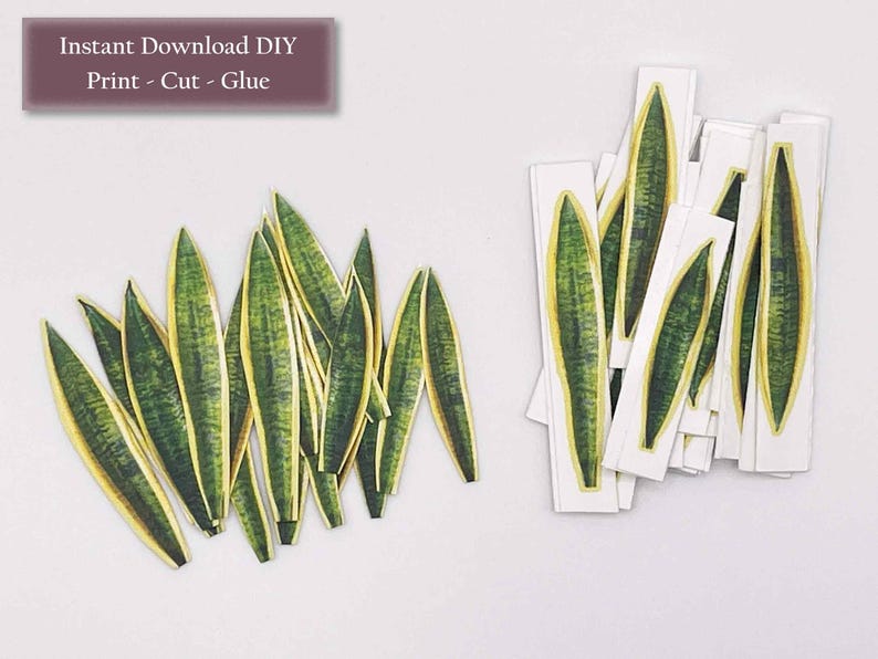 1:12 Miniature Printable Snake Plant - Etsy