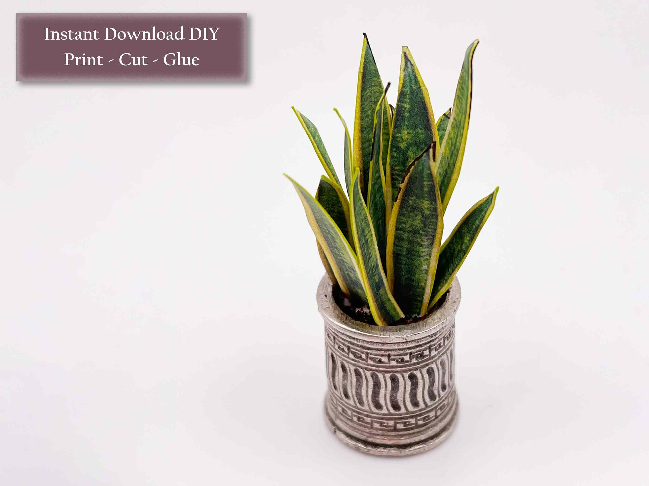 1:12 Miniature Printable Snake Plant - Etsy