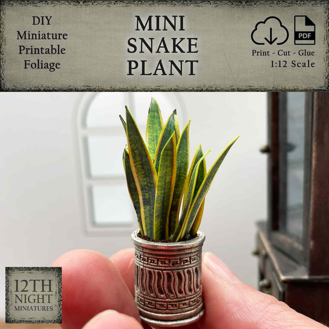 1:12 Miniature Printable Snake Plant - Etsy