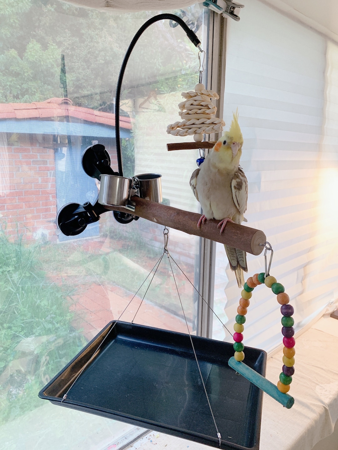Natural Wood Bird Perch Playground Window Bathroom Portable Suction Cup ...