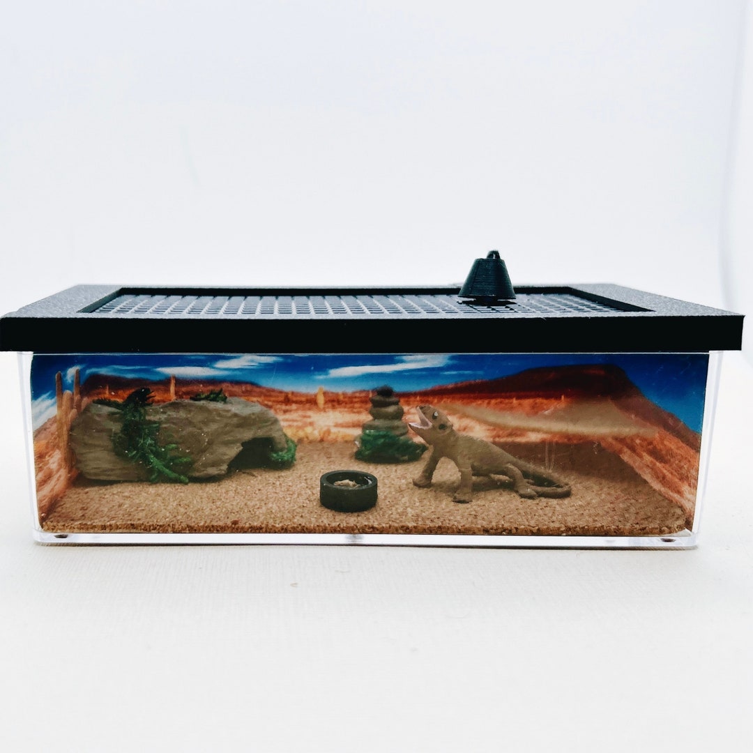 Desktop Miniature Bearded Dragon Terrarium Enclosure | Gift for Reptile ...