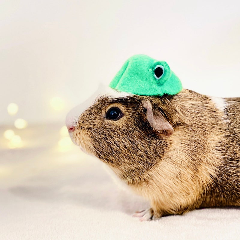 Guinea Pig Hat - Etsy