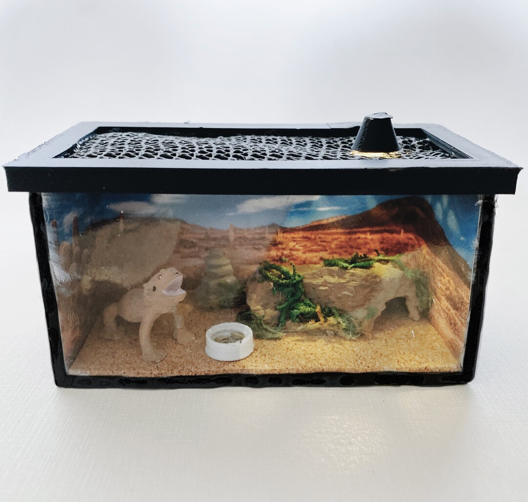 Desktop Miniature Bearded Dragon Terrarium Enclosure With Lamp - Etsy