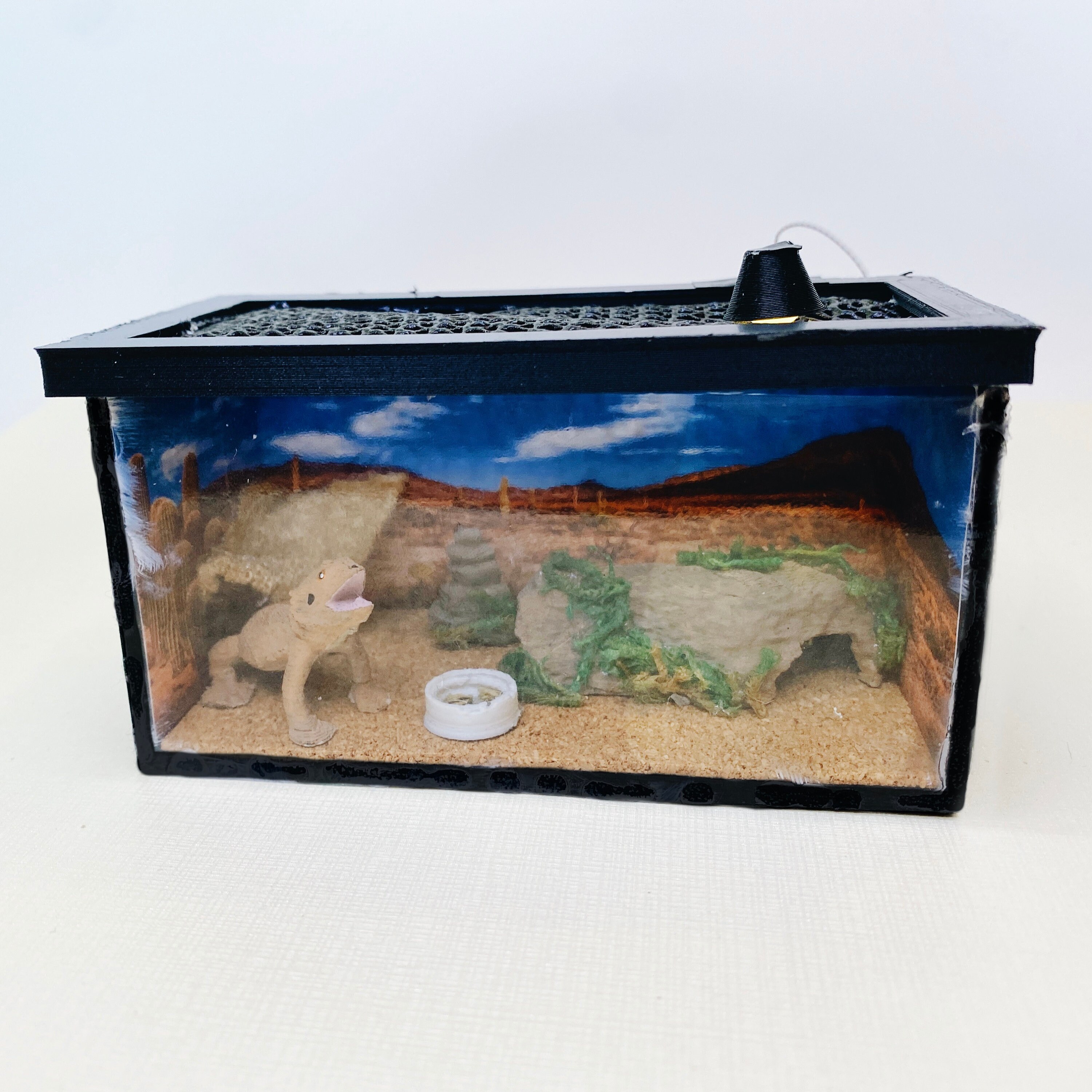 Desktop Miniature Bearded Dragon Terrarium Enclosure With Lamp - Etsy
