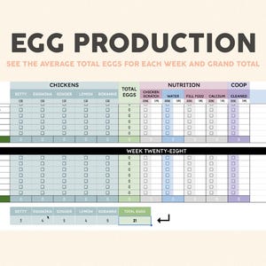 Chicken Tracking Spreadsheet | Egg Production & Care Log - Etsy