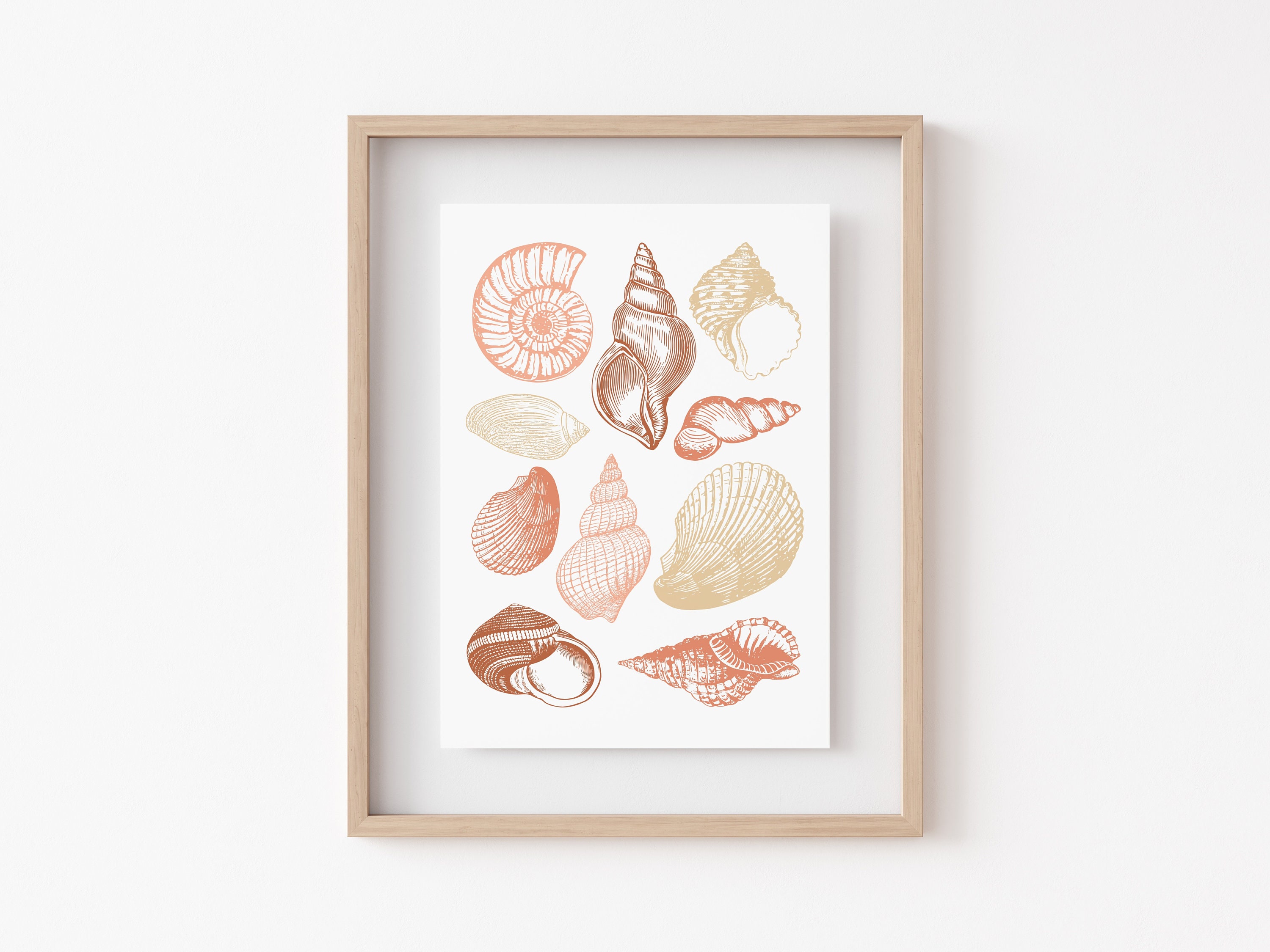 Sea Shell Print Beach Home Decor, Seaside Nautical Print, Coastal Wall ...