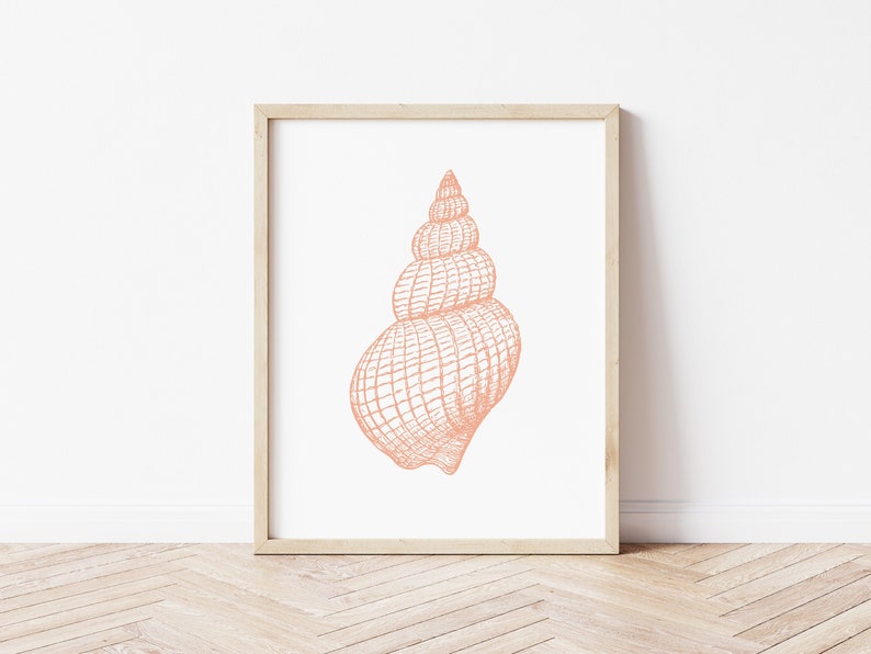 Sea Shell Print Beach Home Decor, Seaside Nautical Print, Coastal Wall ...