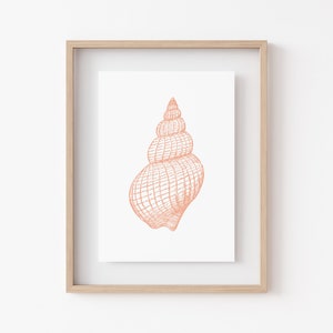 Sea Shell Print Beach Home Decor, Seaside Nautical Print, Coastal Wall ...