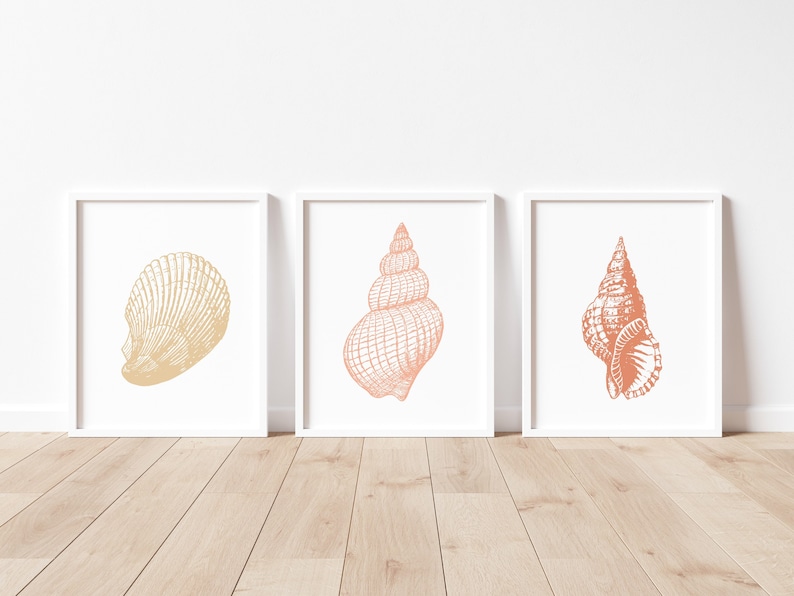 Sea Shell Print Beach Home Decor, Seaside Nautical Print, Coastal Wall ...