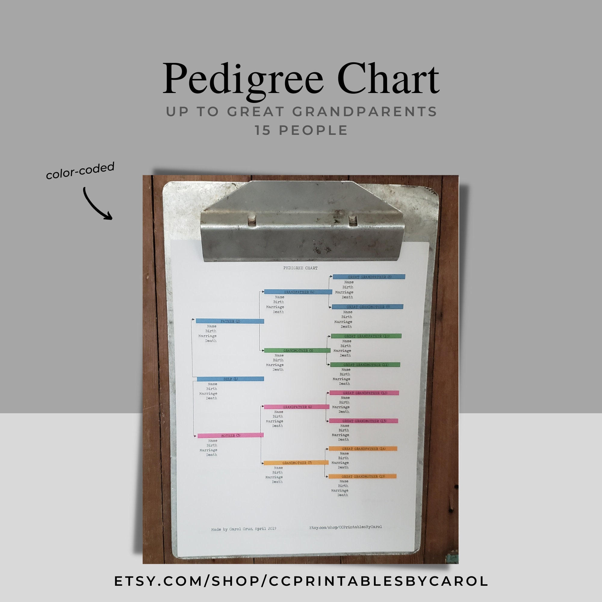 Color Coded Pedigree Chart, Family Tree (PDF Download) - Etsy Australia