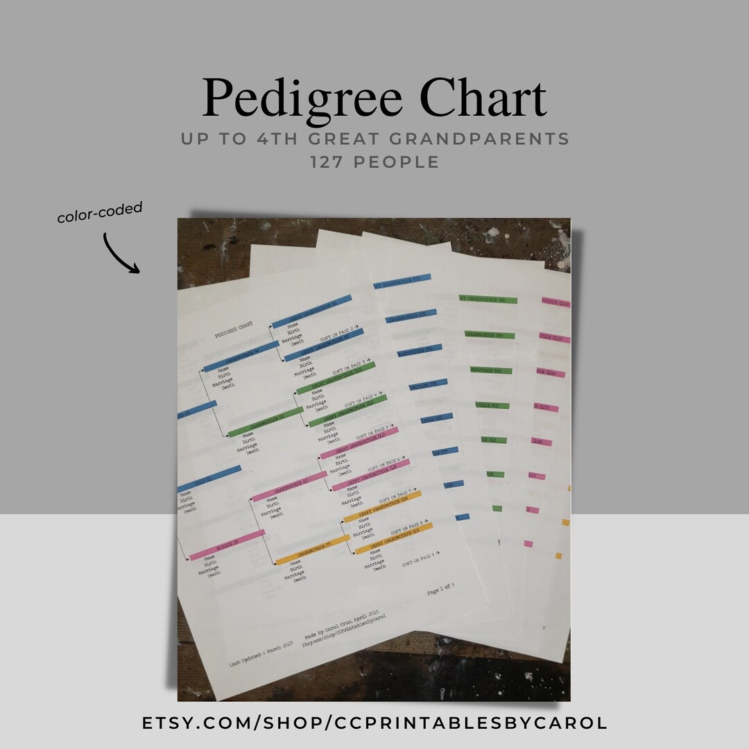 Pedigree Chart: 4th Great Grandparents, Color-coded (PDF Download) - Etsy