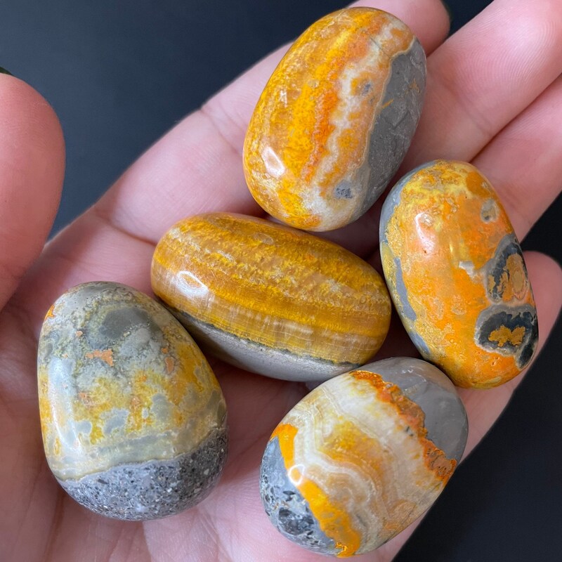 Bumblebee Jasper - Etsy