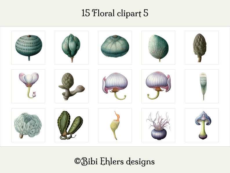 15 Seed and Bud SVG Bundle, SVG & PNG Files, Floral Clipart, Seed and ...