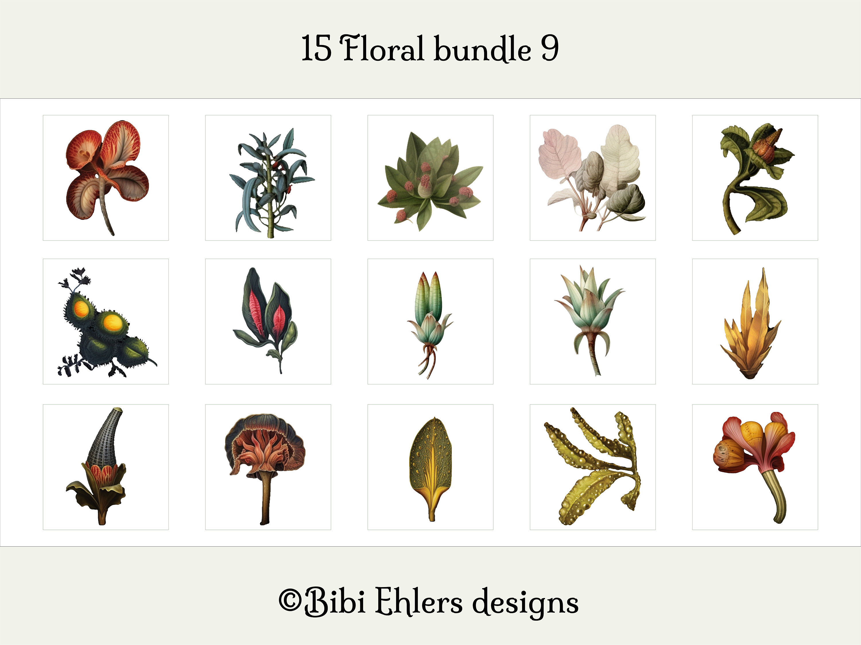 15 Odd Plants & Leaf Clipart SVG Bundle Different Plants - Etsy