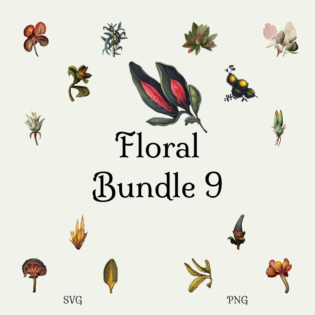 15 Odd Plants & Leaf Clipart SVG Bundle Different Plants - Etsy