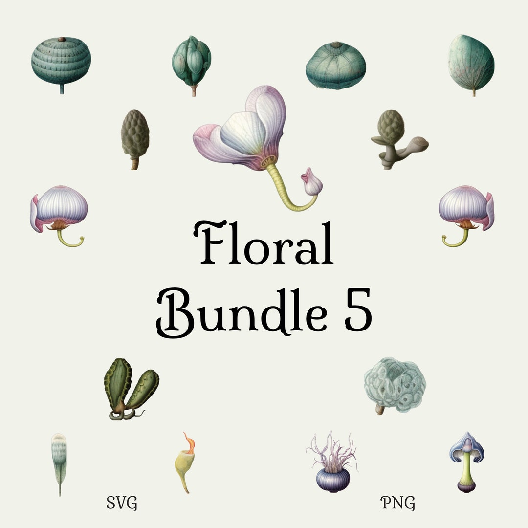 15 Seed and Bud SVG Bundle SVG & PNG Files Floral Clipart - Etsy