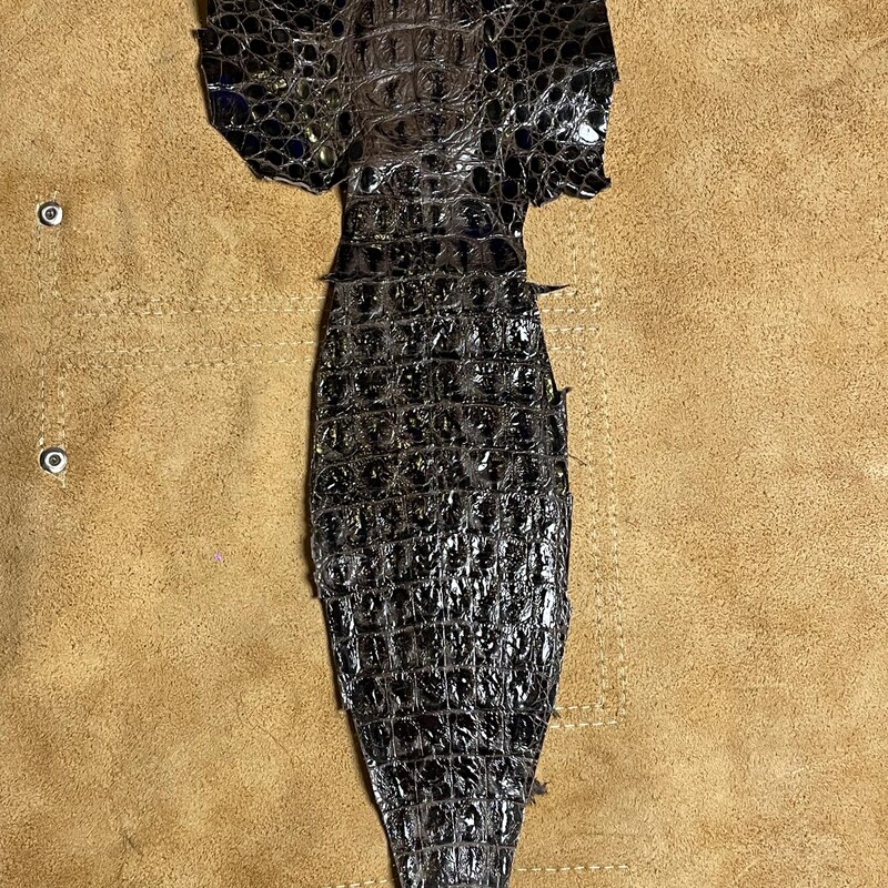 Alligator Hides - Etsy