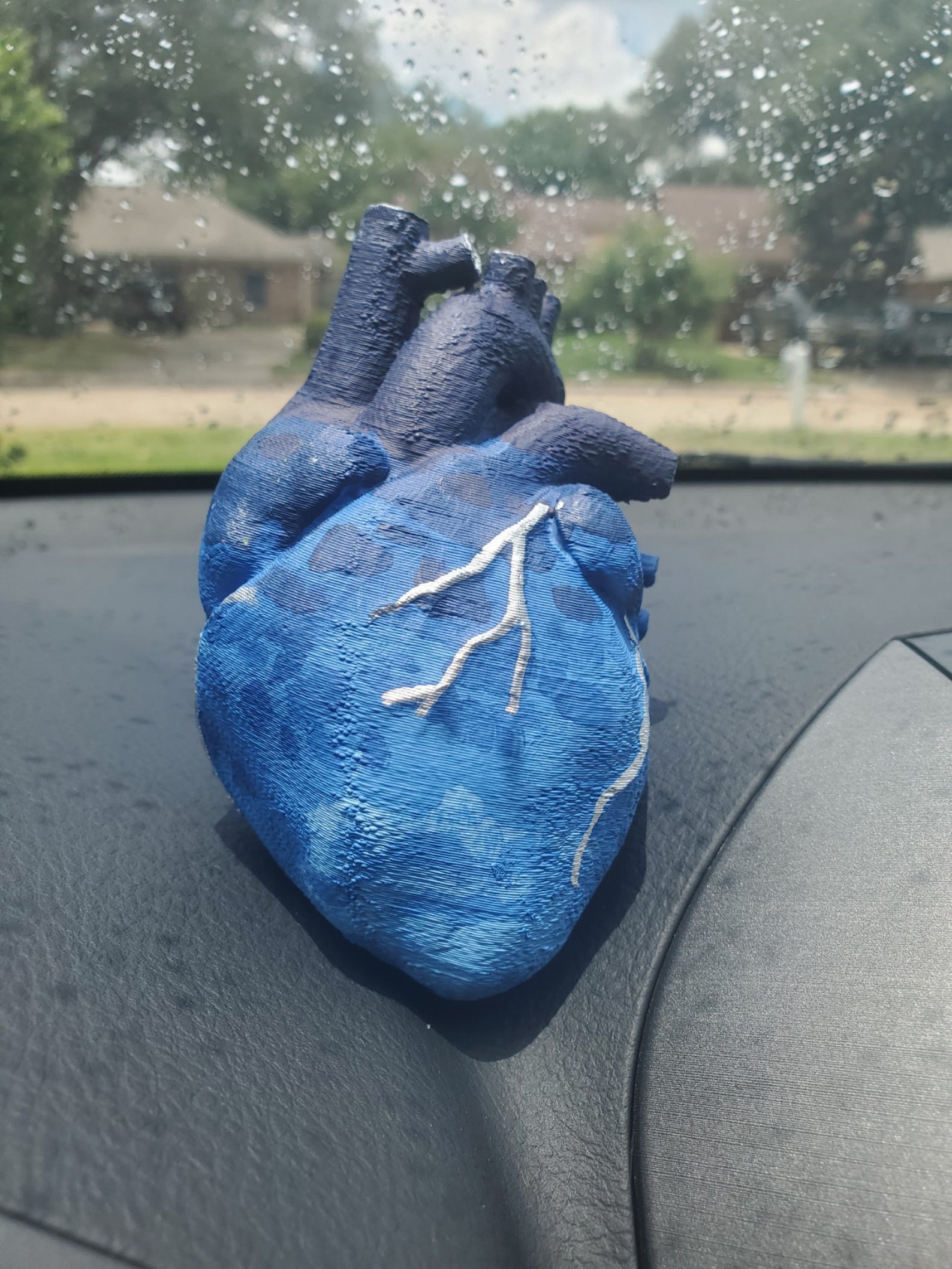 Heart | Human Heart | 1-1 Scale - Etsy