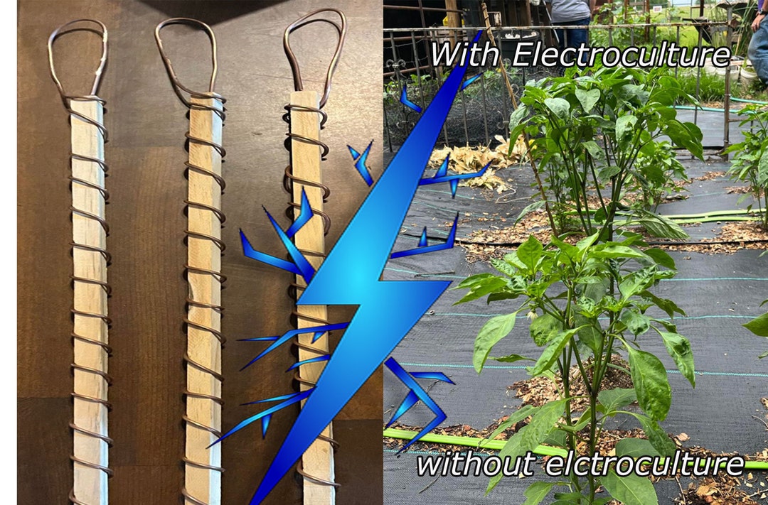 Electroculture Spikes for Plants Set of 3 - Etsy