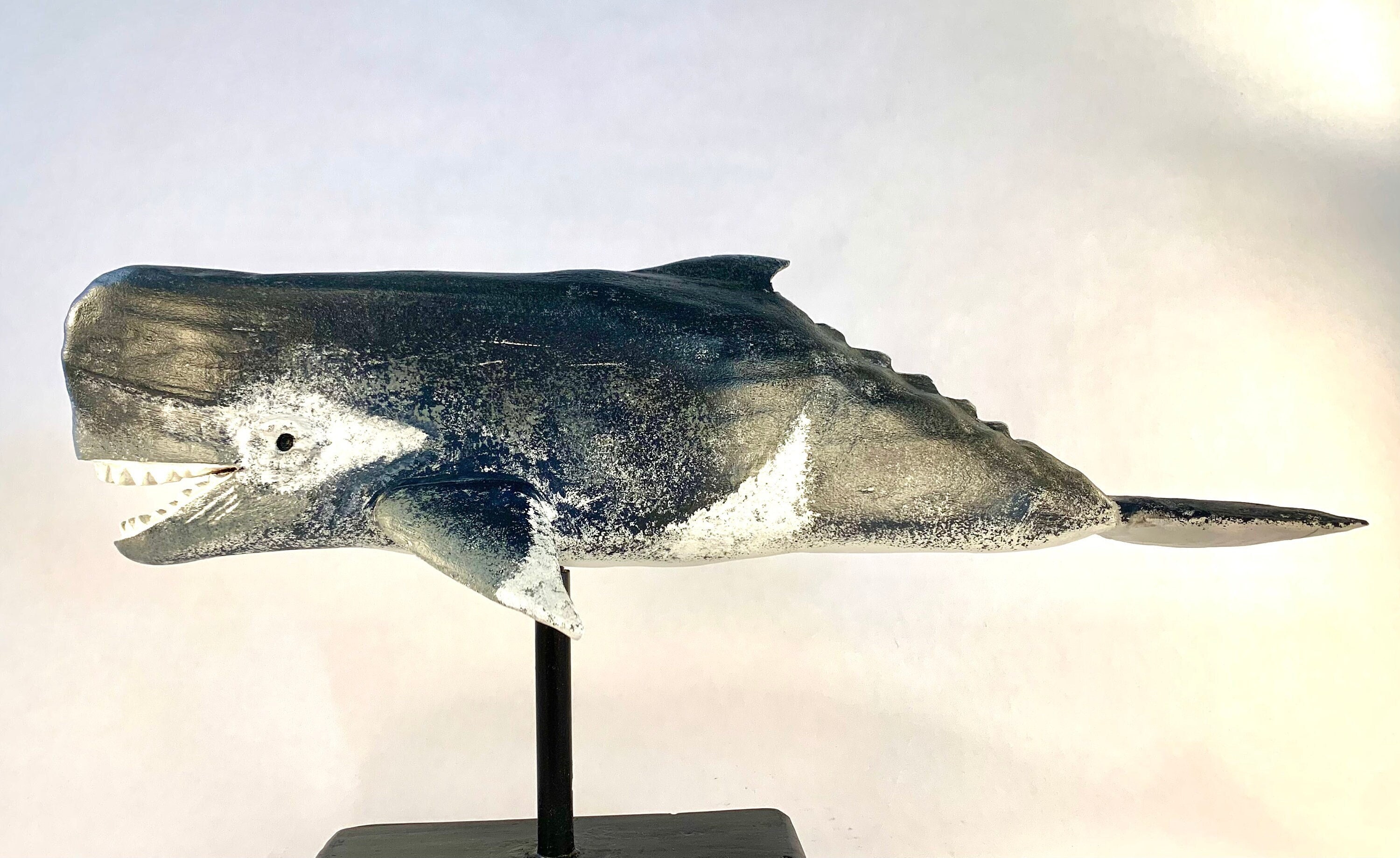 Prehistoric Whale Leviathan