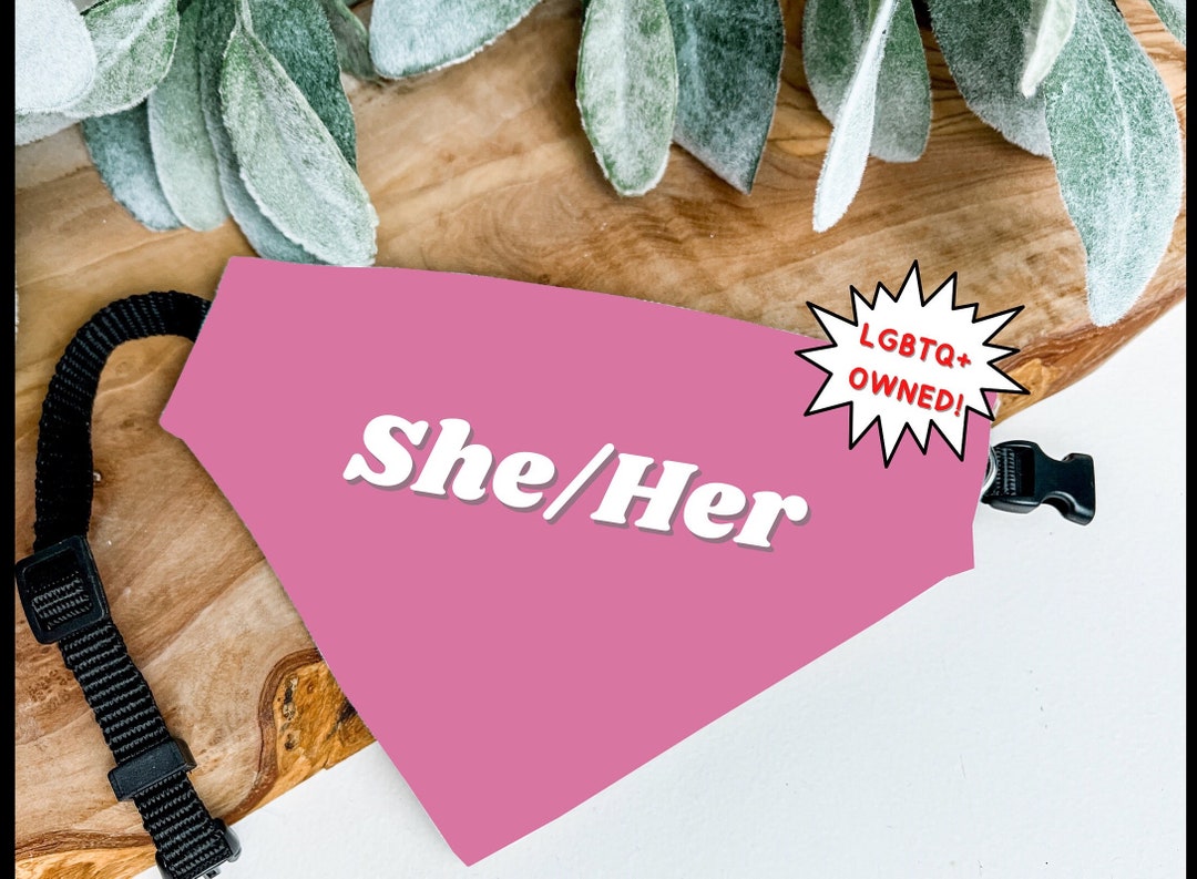 She/her Pronouns Pet Bandana LGBTQ Pride - Etsy