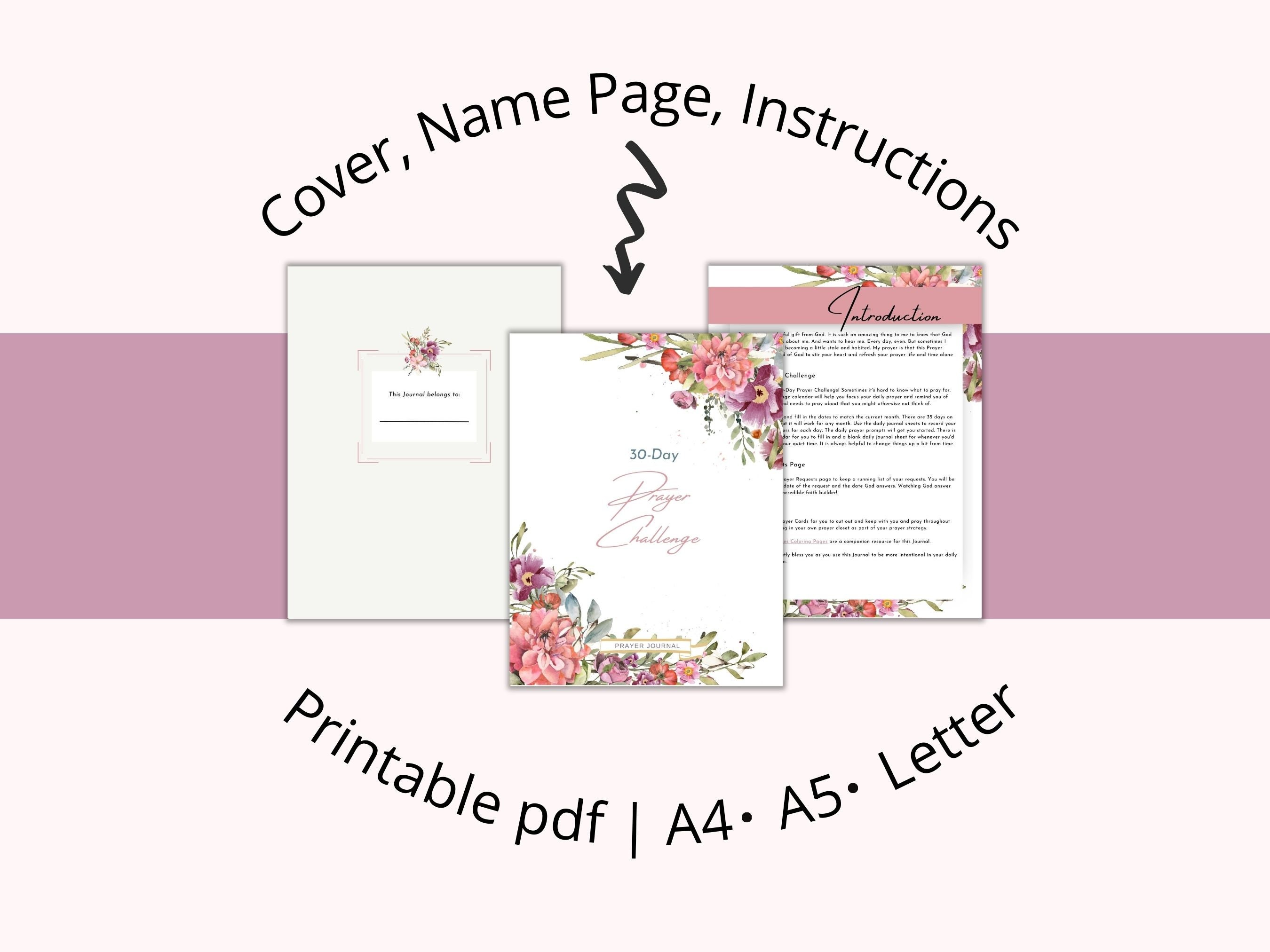 30 Day Prayer Challenge Journal Prayer Journal For Women Prayer Journal