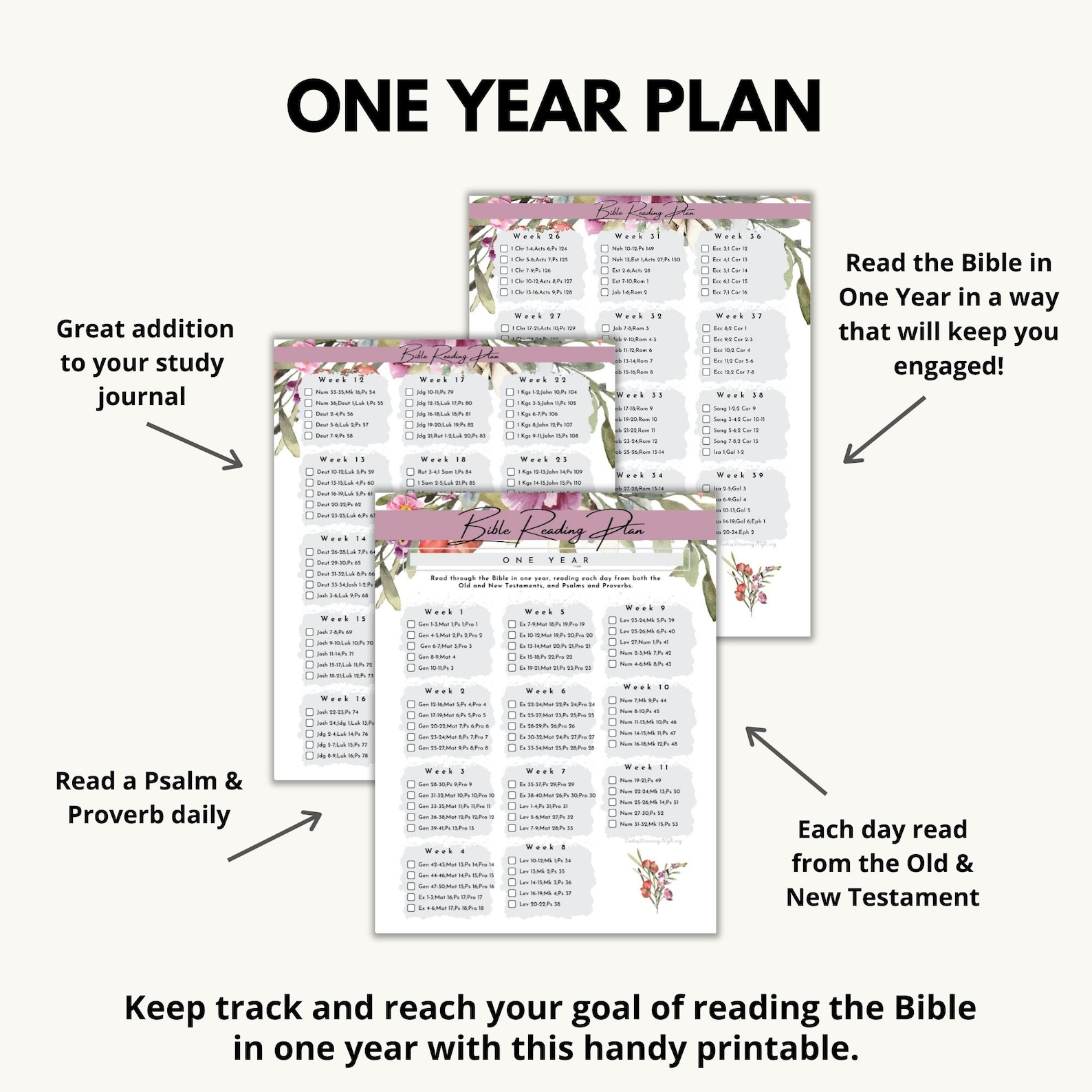 One Year Bible Reading Plan Printable | 52 Week Bible Reading Plan ...