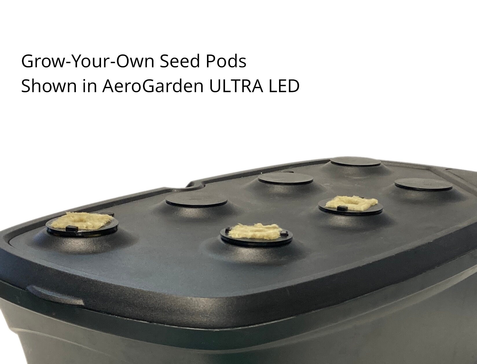 Grow Your Own Seeds, Pod Kit With Nutrients for Hydrosprout (aerogarden ...