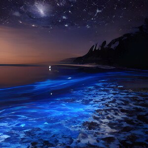 The Midnight Sea - Etsy